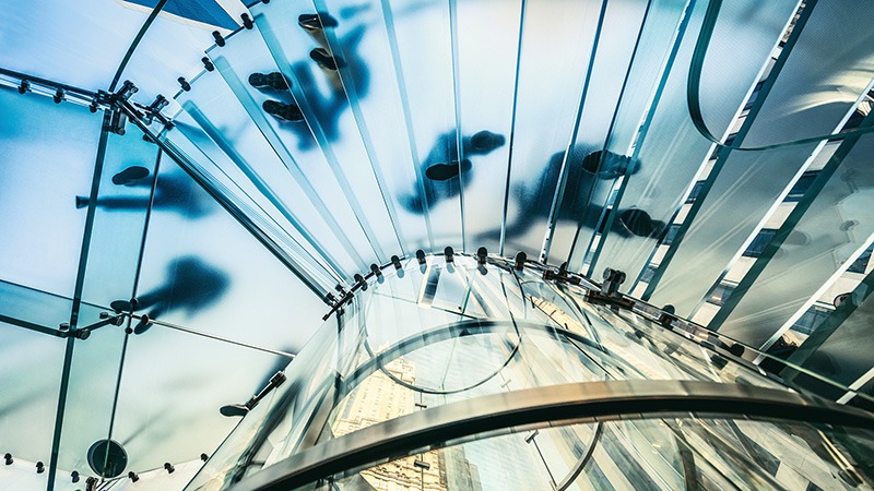 Top 3 Reasons Why Teams Fail — and How to Fix It