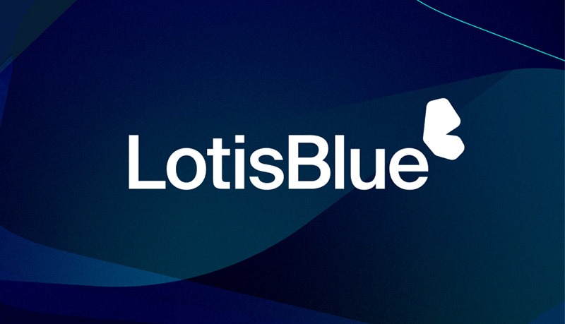 Leading Organizational Design Consulting Firms | Lotis Blue